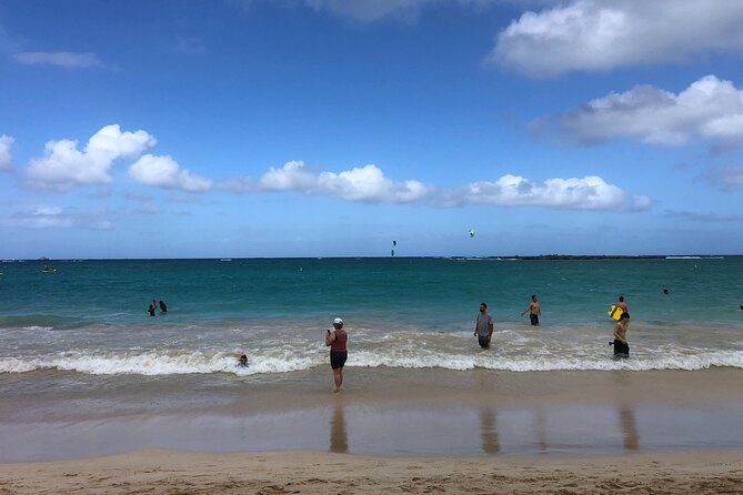 North Shore / Waimea, Falls Day & Swim with Turtles - What Travelers Are Saying About This Tour