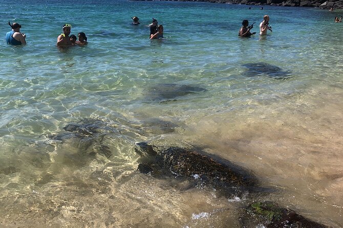 North Shore / Waimea, Falls Day & Swim with Turtles - Frequently Asked Questions
