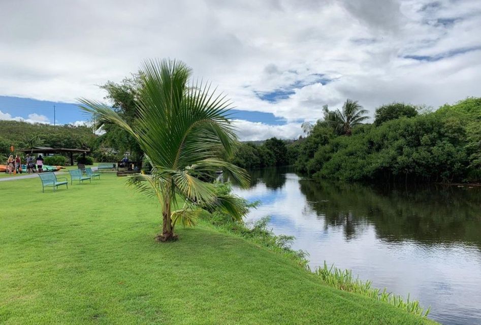 North Shore's best day! River, Turtles, Farm with Lunch - Savoring the Flavors of Hawaii