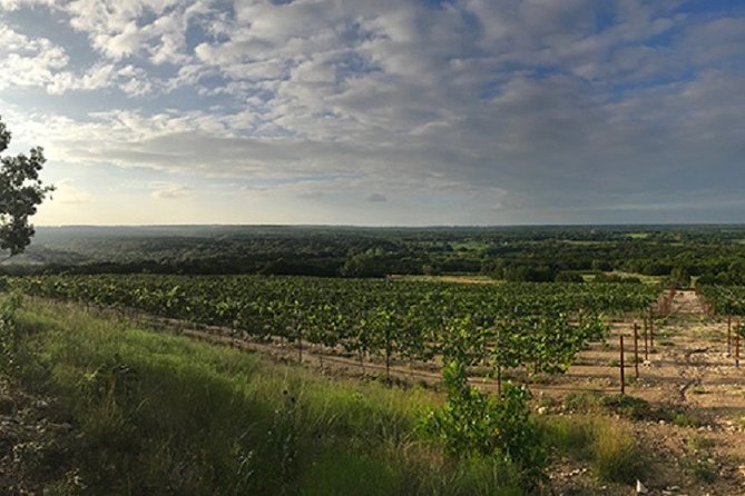 North Texas Wineries & Vineyards Tour & Tastings-6 person minimum - Discover the Charm of North Texas Wineries & Vineyards: An Honest Review