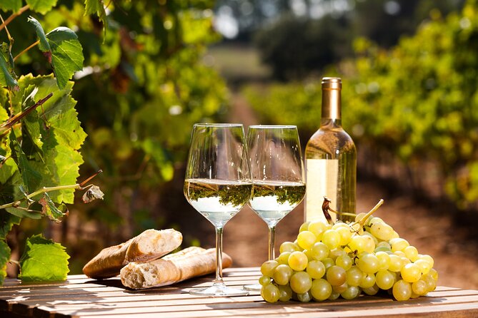 Northern Arizona Private Wine Tour south of Sedona - Verde Valley Wineries - An In-Depth Look at the Verde Valley Private Wine Tour