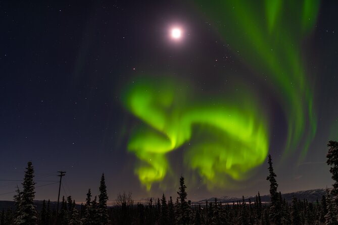 Northern Lights Adventure of a Liftetime from Anchorage - An In-Depth Look at the Northern Lights Adventure from Anchorage