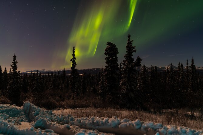 Northern Lights Adventure of a Liftetime from Anchorage - Is This Tour Worth It?