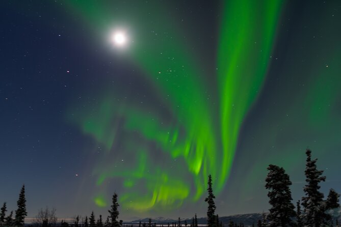 Northern Lights Adventure of a Liftetime from Anchorage - Who Will Love This Experience?