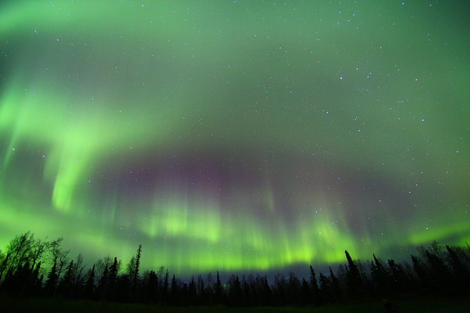 Northern Lights and Arctic Circle Trip from Fairbanks - Who Should Consider This Tour?
