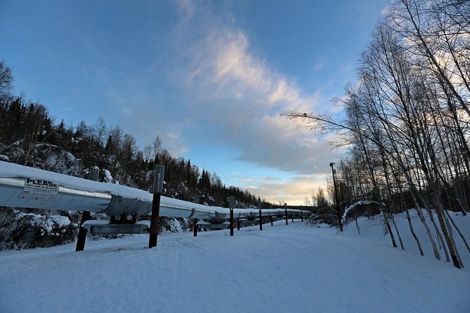 Northern Lights and Arctic Circle Trip from Fairbanks - FAQ
