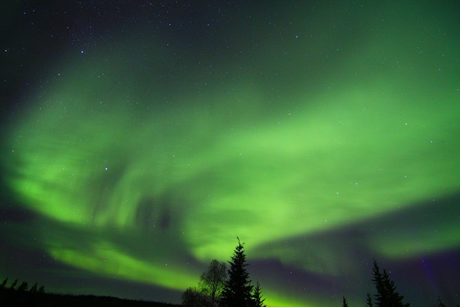Northern Lights and Arctic Circle Trip from Fairbanks - Final Thoughts