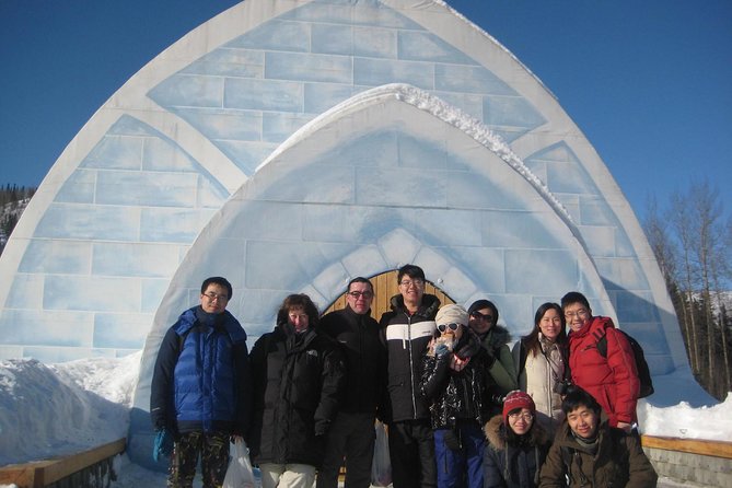 Northern Lights and Chena Hot Springs Tour from Fairbanks - A Complete Breakdown of the Tour Experience