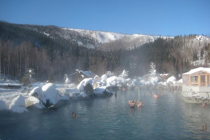 Northern Lights and Chena Hot Springs Tour from Fairbanks - Final Thoughts