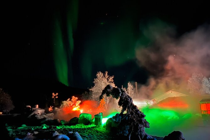 Northern Lights at Chena Hot Springs - What the Reviews Say