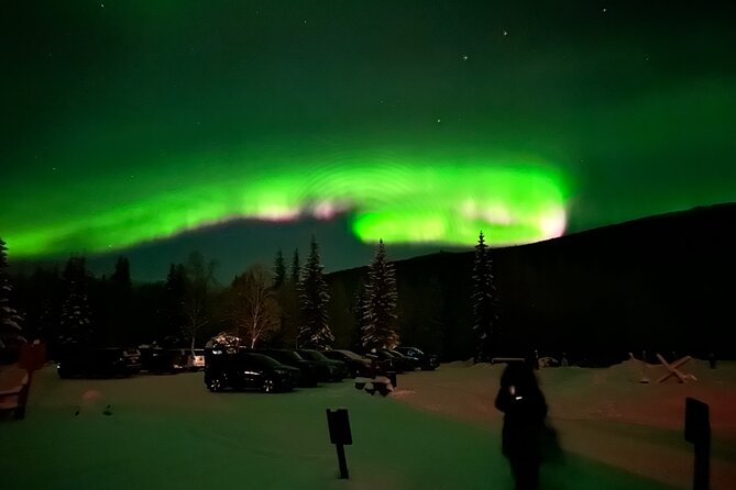 Northern Lights at Chena Hot Springs - Who Should Consider This Tour?