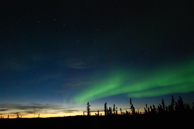 Northern Lights Experience and Cabin Dinner - Key Points
