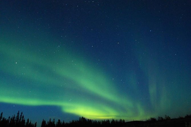 Northern Lights Experience and Cabin Dinner - Who Is This Tour Best Suited For?