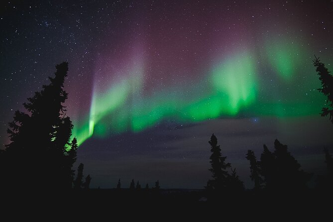 Northern Lights Viewing at Murphy Dome - Frequently Asked Questions (FAQs)
