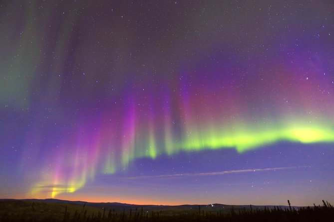 Northern Lights Viewing including Dinner and 1-Hour Dog Sledding - The Practical Details