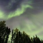Northern Lights Viewing including Dinner and 1-Hour Dog Sledding - Authentic Reviews in Context