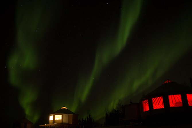 Northern Lights Viewing including Dinner and 1-Hour Dog Sledding - Frequently Asked Questions