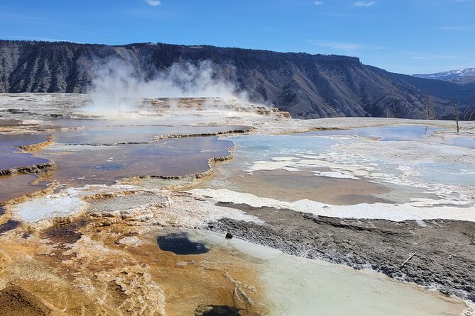 Northern Yellowstone Safari from Cody, WY - The Practicalities: What You Need to Know