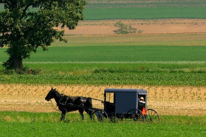 Nueva York a Filadelfia y Los Amish en Castellano - Is This Tour Worth It?