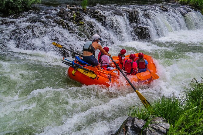 Nugget Falls class IV Half-Day Rafting on The Rogue River - The Experience in Detail