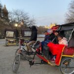 NY Tours Central Park - Who Will Love This Tour?