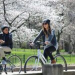 NYC Central Park Bicycle Rental All Day Pass - Cost and Value Analysis