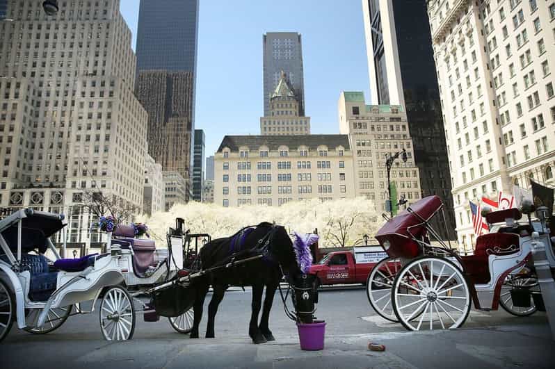NYC: Central Park Christmas Lights Horse-Drawn Carriage Ride - Key Points