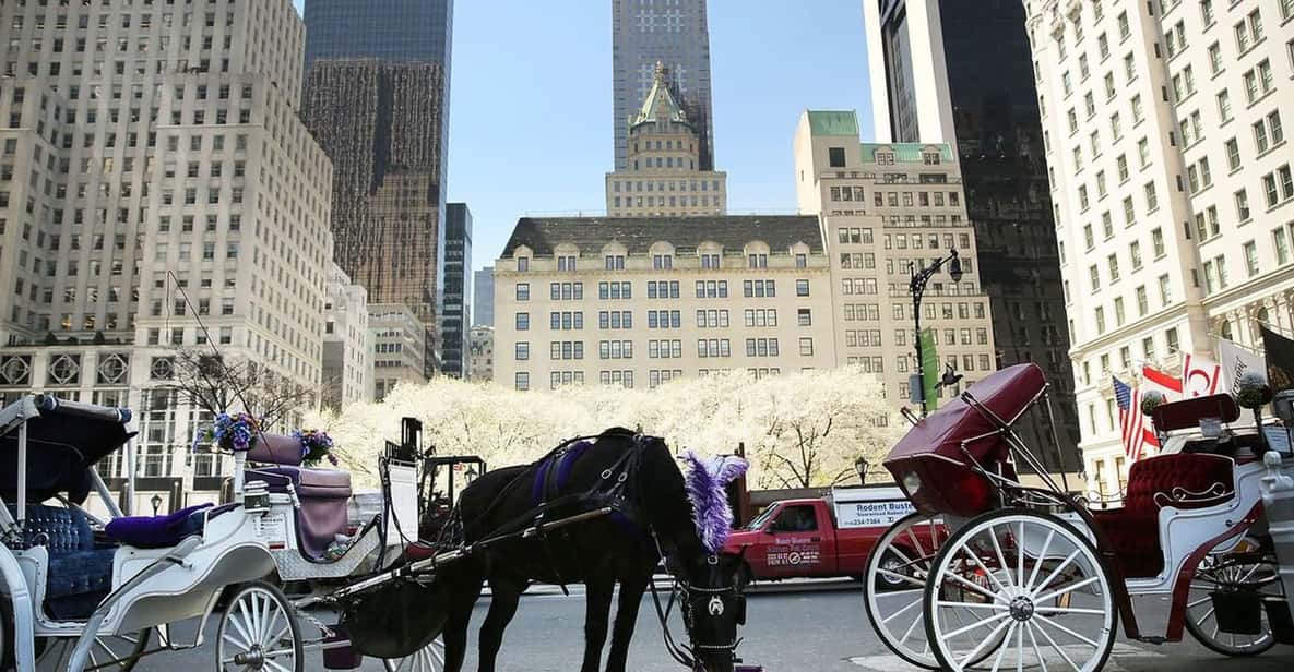 NYC: Central Park Christmas Lights Horse-Drawn Carriage Ride - A Detailed Look at the Carriage Ride Experience