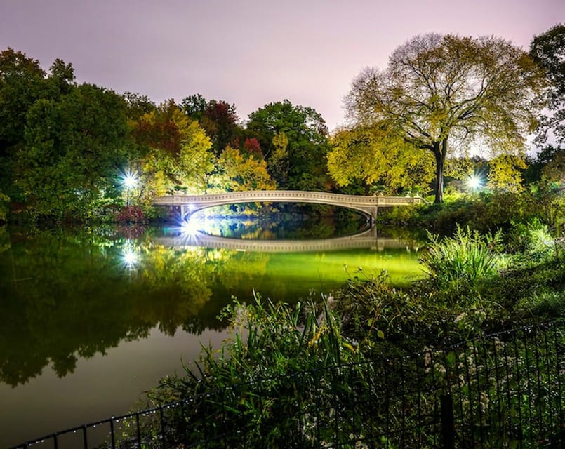 NYC: Central Park Christmas Lights Horse-Drawn Carriage Ride - Who is This Experience Best For?