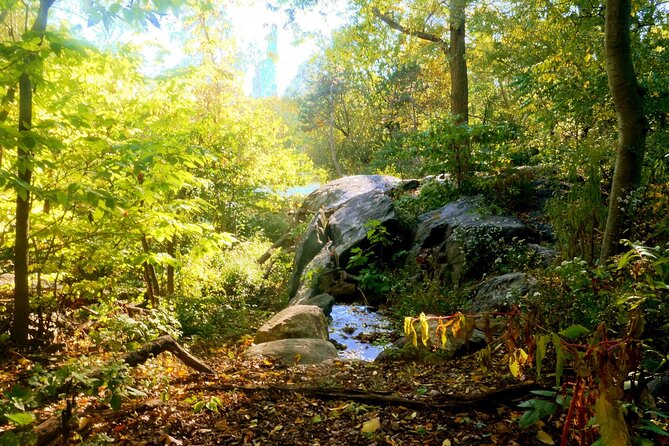 NYC Central Park Essential Guided Walking Tour - Meta Description