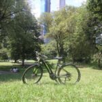NYC: Central Park Guided Electric Bike Tour - Who Is This Tour Best For?