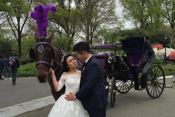 NYC Central Park Horse and Carriage Ride: Long Ride 45 min - Considerations & Potential Drawbacks