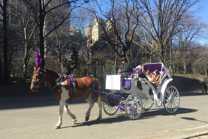 NYC Central Park Horse and Carriage Ride: Long Ride 45 min - Practicalities & Booking Tips