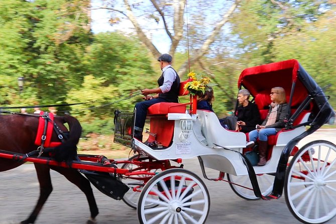 NYC Central Park Horse Carriage Ride (Up to 4 Adults) - Authentic Experiences from Reviewers