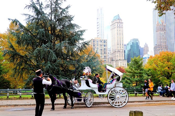NYC Central Park Horse Carriage Ride (Up to 4 Adults) - Final Thoughts: Is This Tour Worth It?