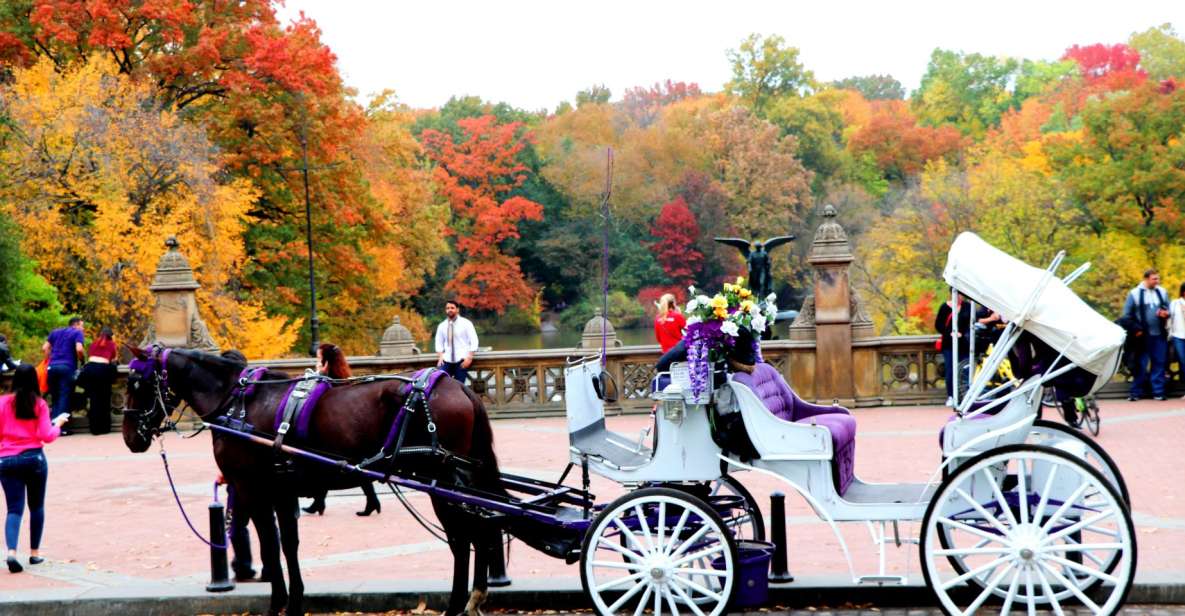 NYC: Central Park Horse-Drawn Carriage Ride (up to 4 Adults) - FAQs