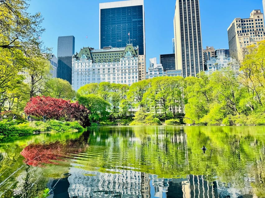 NYC: Central Park Pedicab Tour with Photo Stops - The Experience: What It Feels Like
