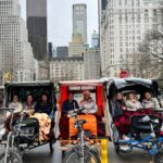 NYC: Central Park Private Tour - The Itinerary: What to Expect at Each Stop