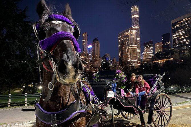 NYC Central Park & Rockefeller Center Private Horse Carriage Tour - Detailed Itinerary Breakdown