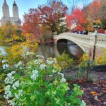 NYC: Central Park Secrets and Highlights Walking Tour - What You Can Expect from the Experience
