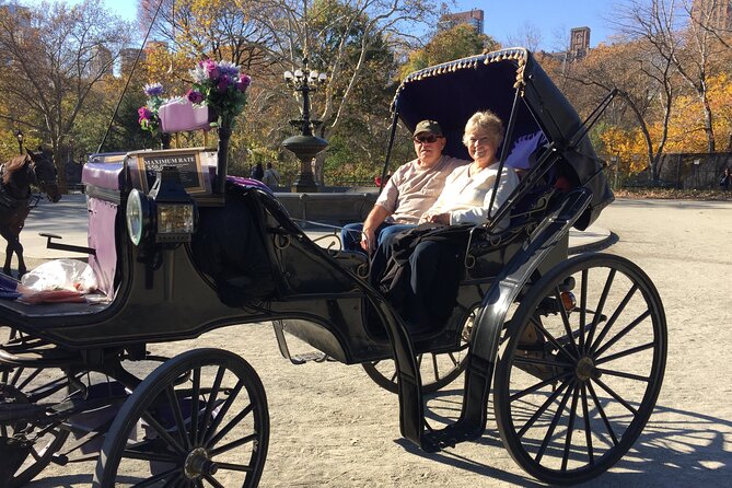 NYC Central Park VIP Horse and Carriage Ride - The Charm of a Horse-Drawn Carriage Ride in Central Park