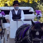 NYC Central Park VIP Horse and Carriage Ride - A Close Look at the Itinerary