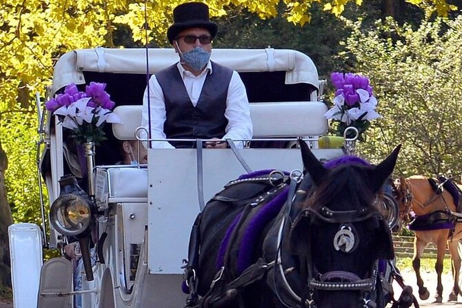 NYC Central Park VIP Horse and Carriage Ride - A Close Look at the Itinerary