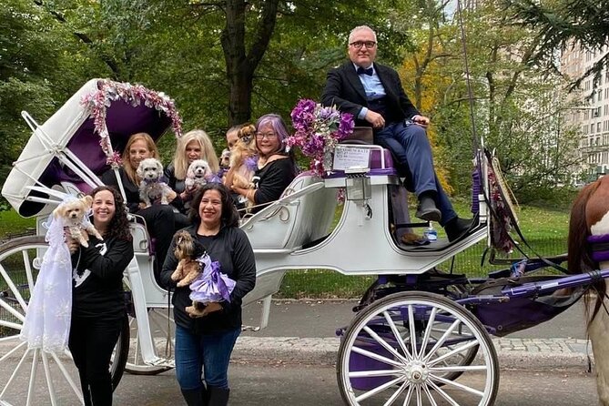 NYC Central Park VIP Horse and Carriage Ride - Practical Details and Considerations