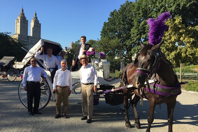 NYC Central Park VIP Horse and Carriage Ride - The Review Highlights from Past Participants
