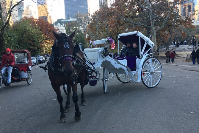 NYC Central Park VIP Horse and Carriage Ride - The Sum Up