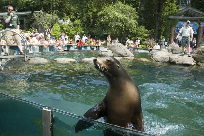 NYC: Central Park Zoo Entry Ticket & Manhattan Walking Tour - A Deep Dive into the Tour Experience