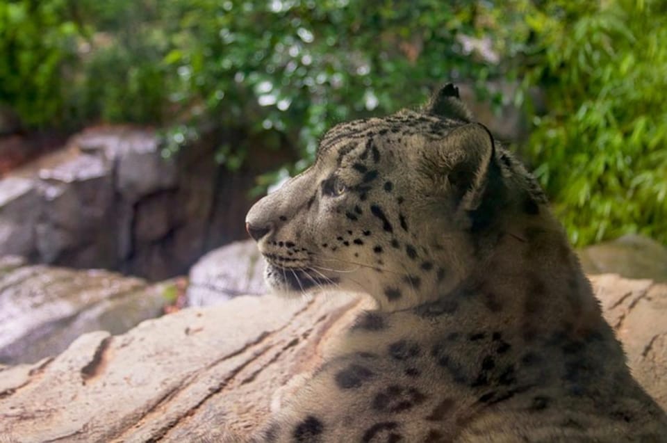 NYC: Central Park Zoo Entry Ticket & Manhattan Walking Tour - Real Experiences from Past Participants