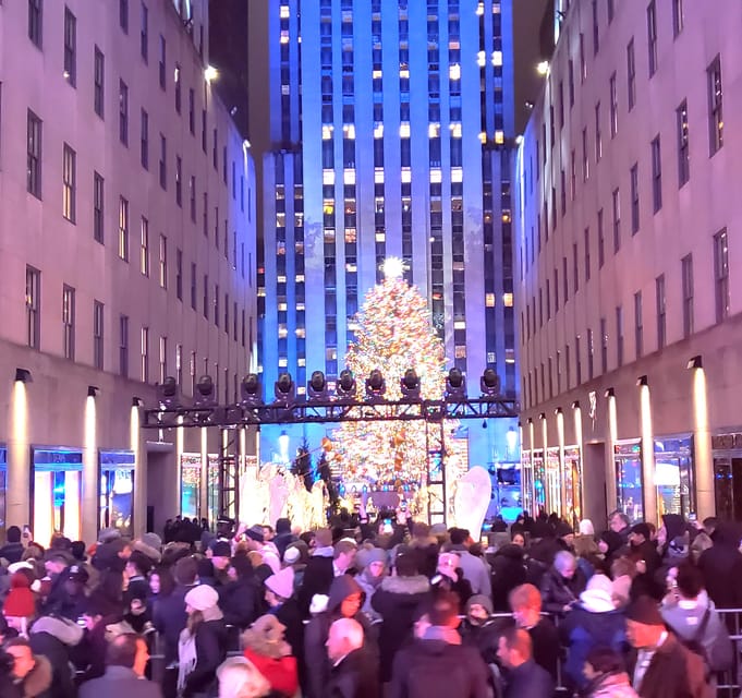 NYC: Christmas Lights Horse Carriage Ride - Key Points  