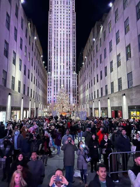 NYC: Christmas Lights Horse Carriage Ride - Why Choose the NYC Christmas Lights Horse Carriage Ride?  